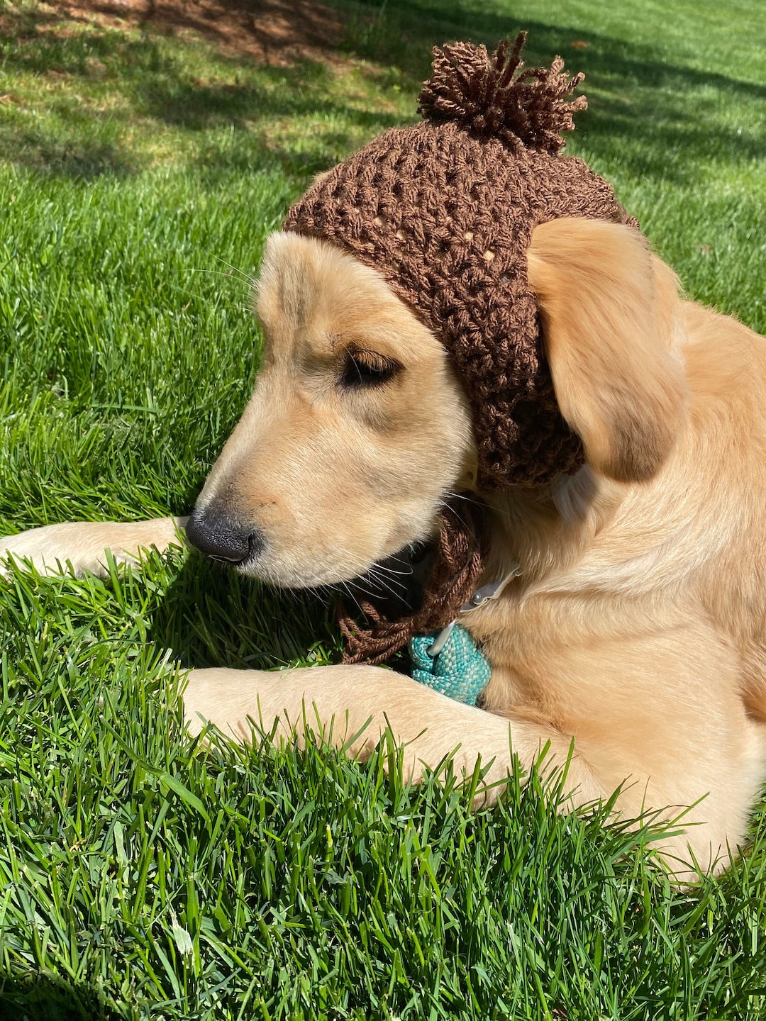 Crochet Dog Hat, Crochet Cat Hat - Etsy Denmark