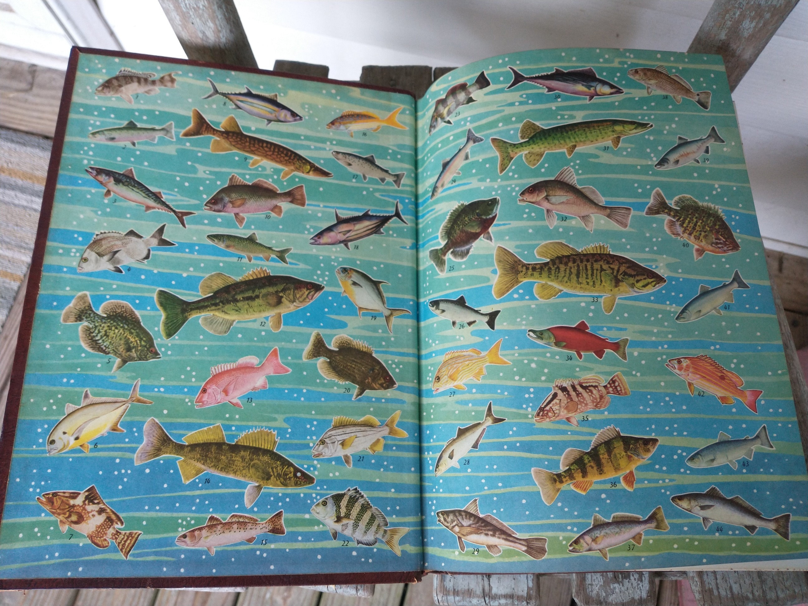 Standard Book of Fishing Vintage Fishing Book Collectible - Etsy Ireland