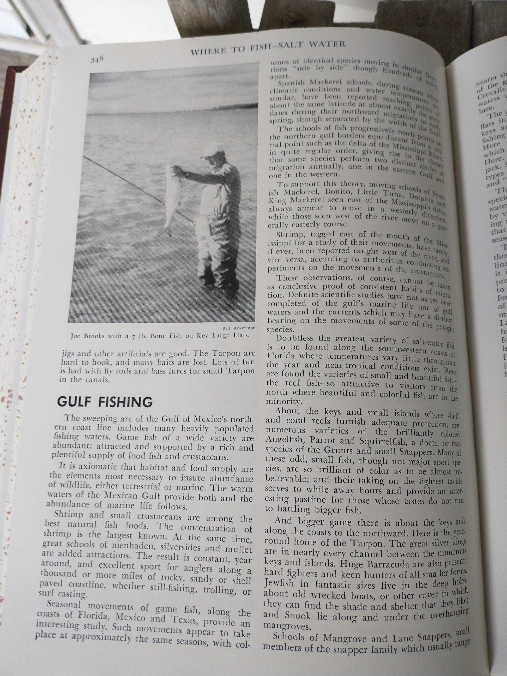 Standard Book of Fishing Vintage Fishing Book Collectible - Etsy Ireland