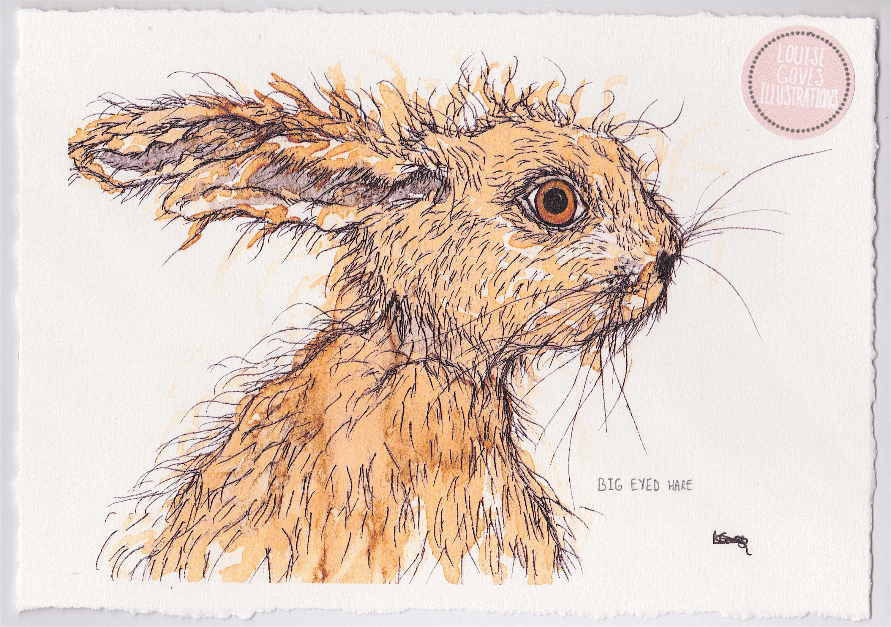 Big Eyed Hare | Etsy