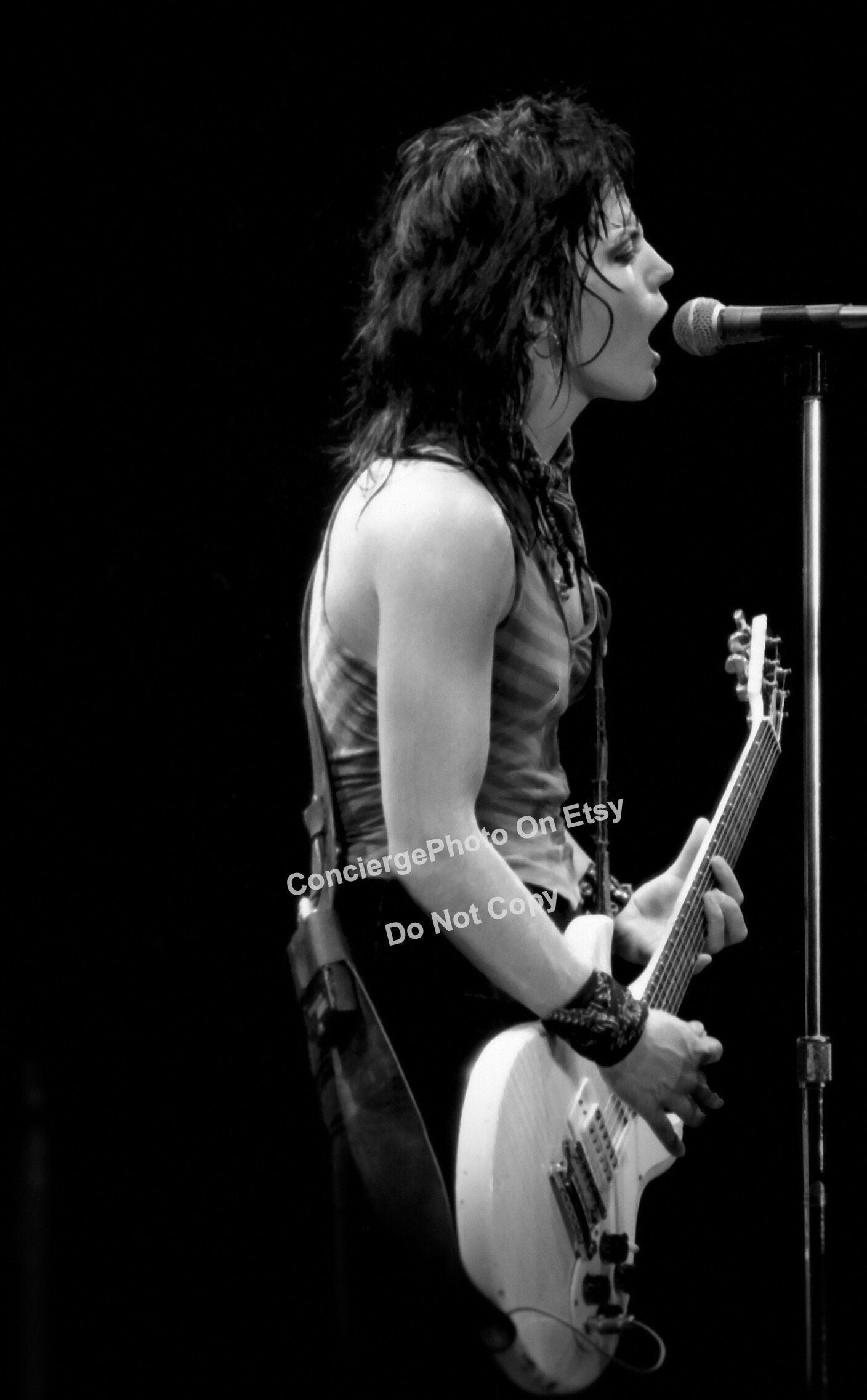 Elegant Joan Jett