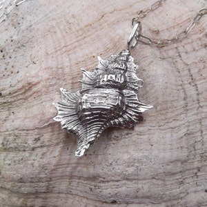 Sterling Silver murex Shell Pendant With Turquoise Chip Inlay. OOAK ...