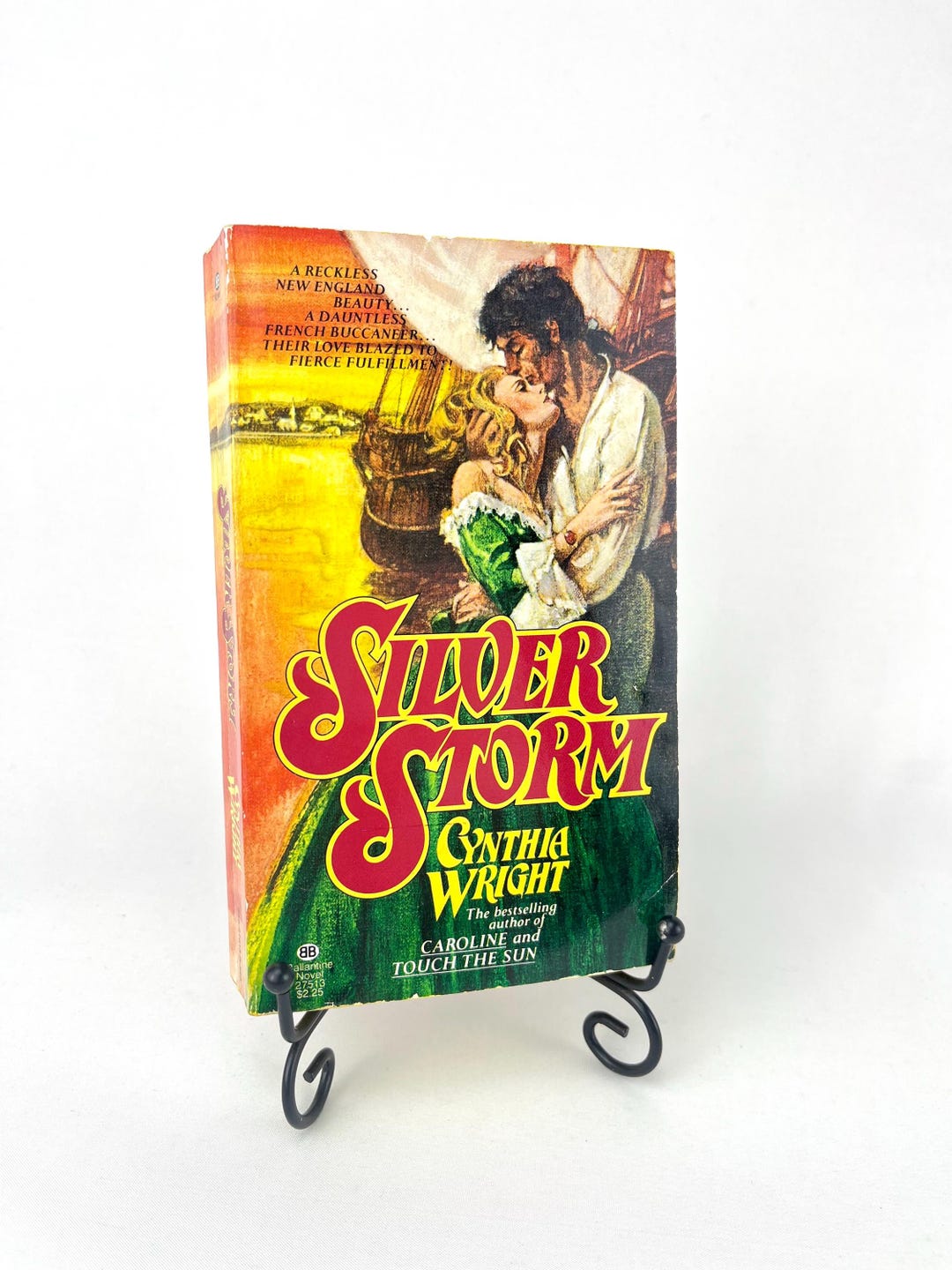 Silver Storm by Cynthia Wright 1st Printing Paperback Book 1979 W ...