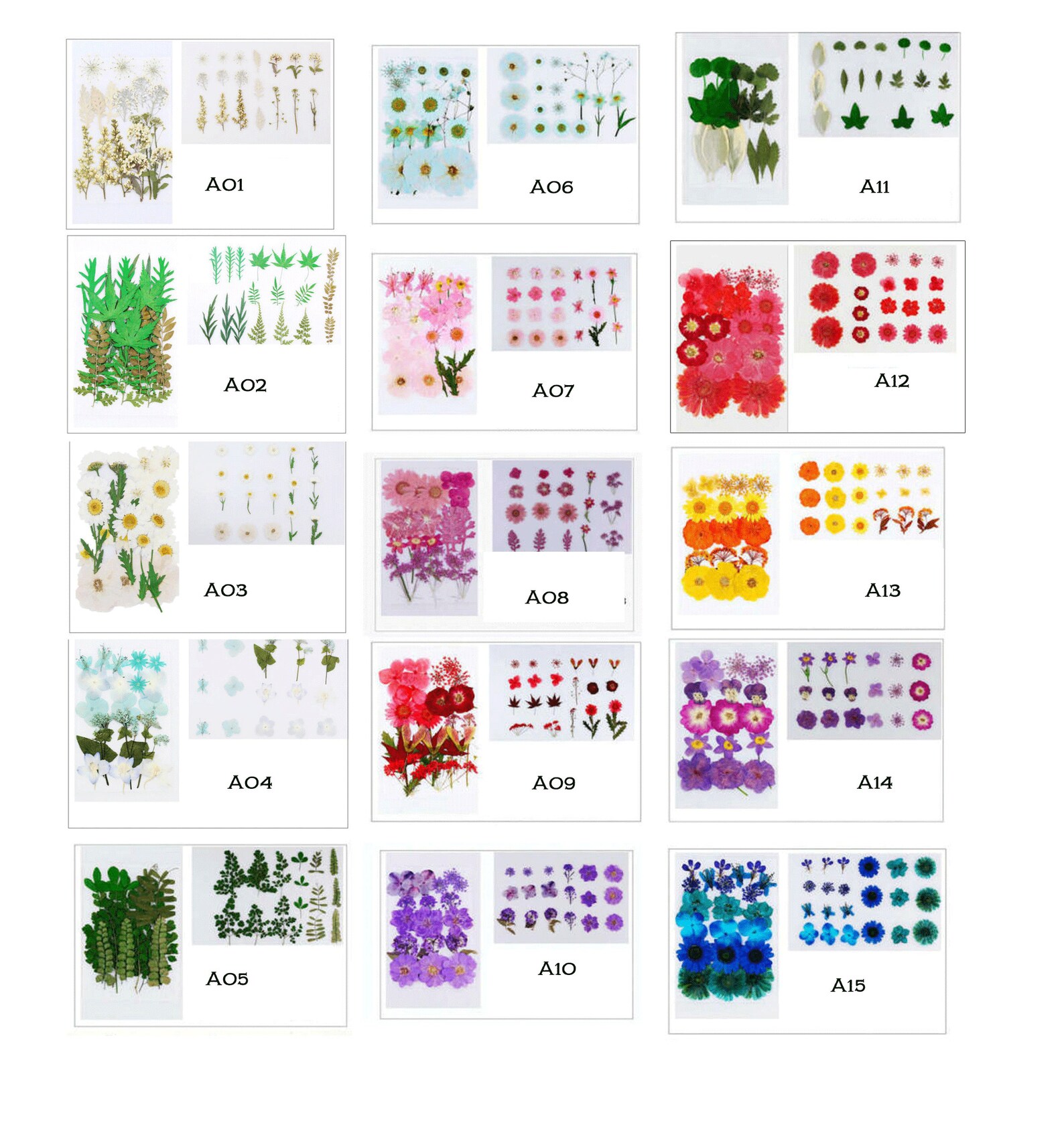 Dried Flat Flower Packs Pressed Flowers Lot Mixed Set Pink | Etsy