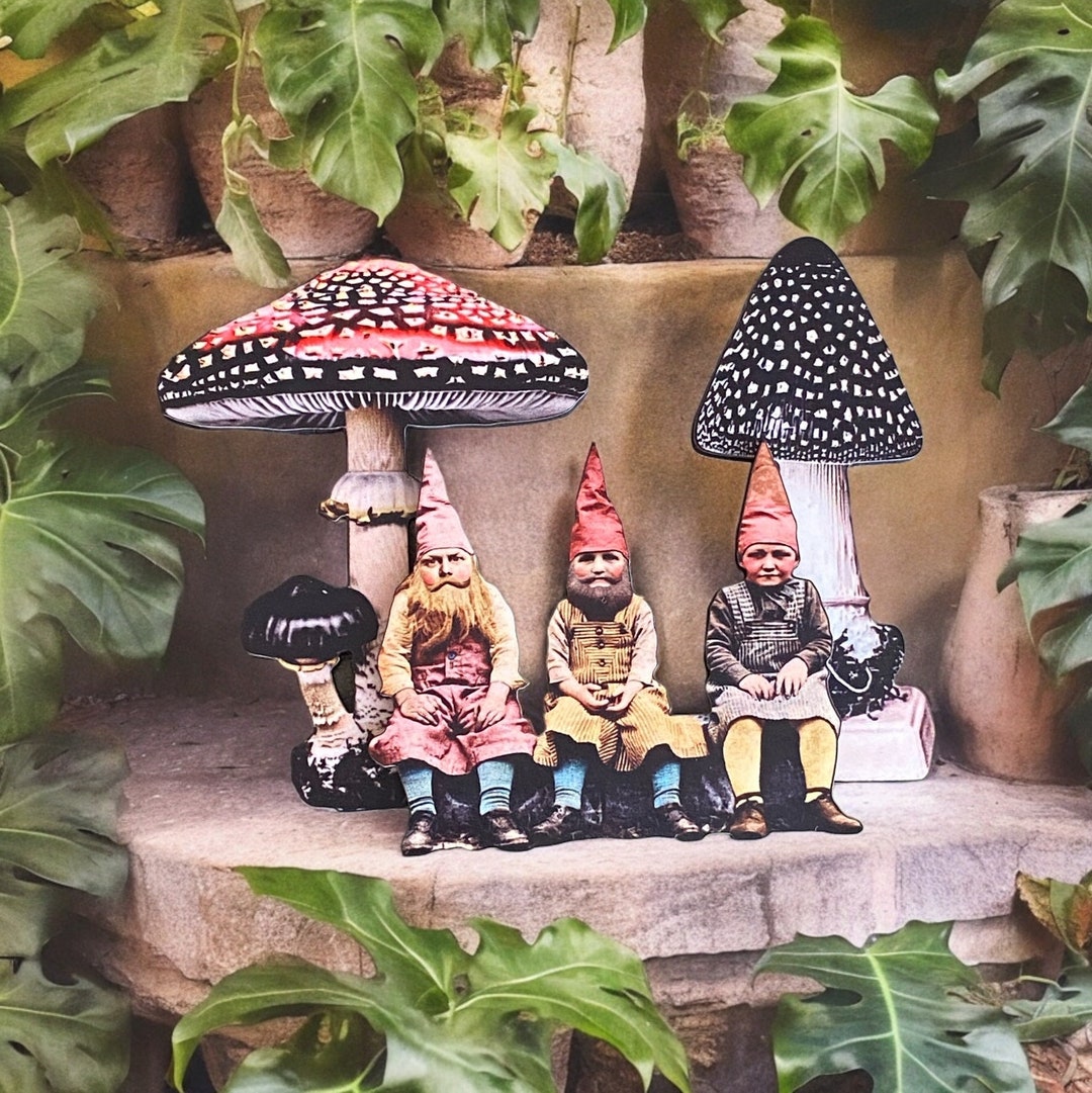 3 Pc Whimsical Laser Cut Wood Prop Set for Diorama, Mushrooms and ...