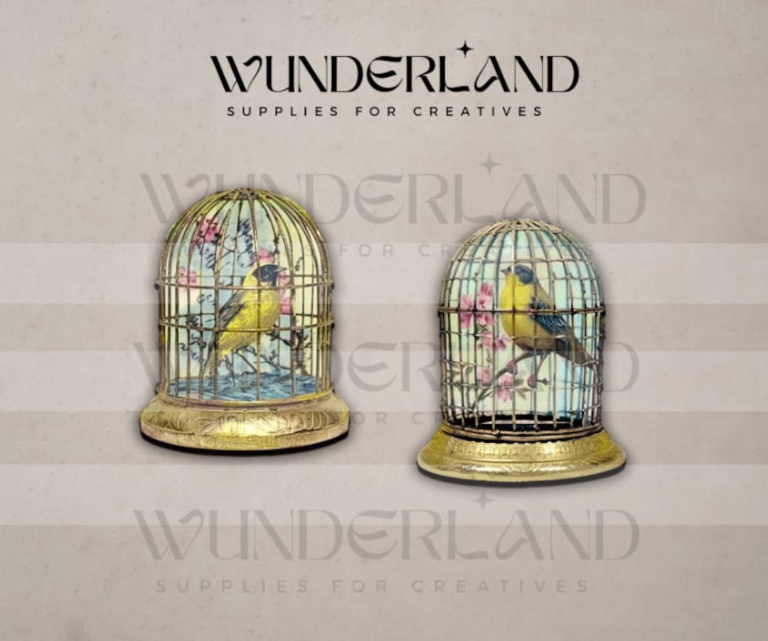 Pair of Whimsical Bird Cages - Supplies for Jewelry, Altered Art ...