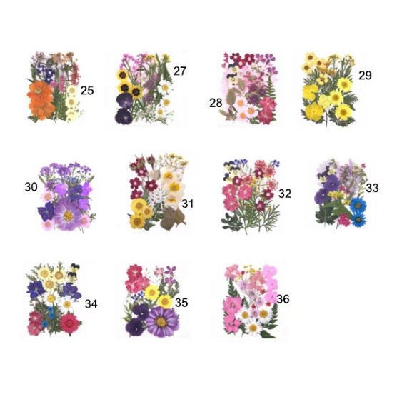 Dried flat flower packs pressed flowers lot mixed set pink | Etsy