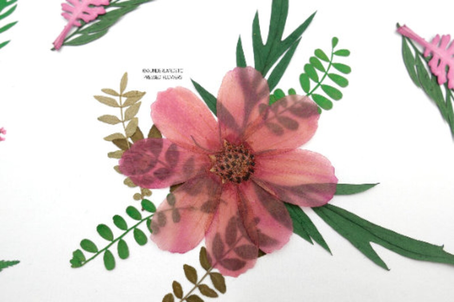 Dried Flat Flower Packs Pressed Flowers Lot Mixed Set Pink | Etsy