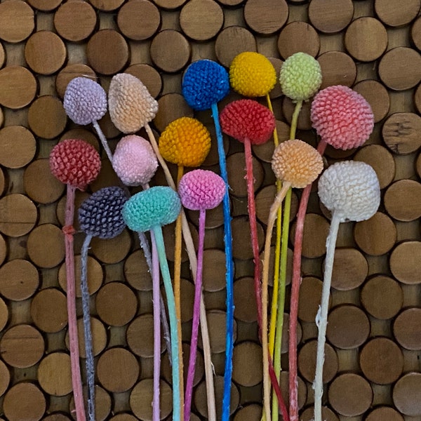 Billy Buttons - Etsy