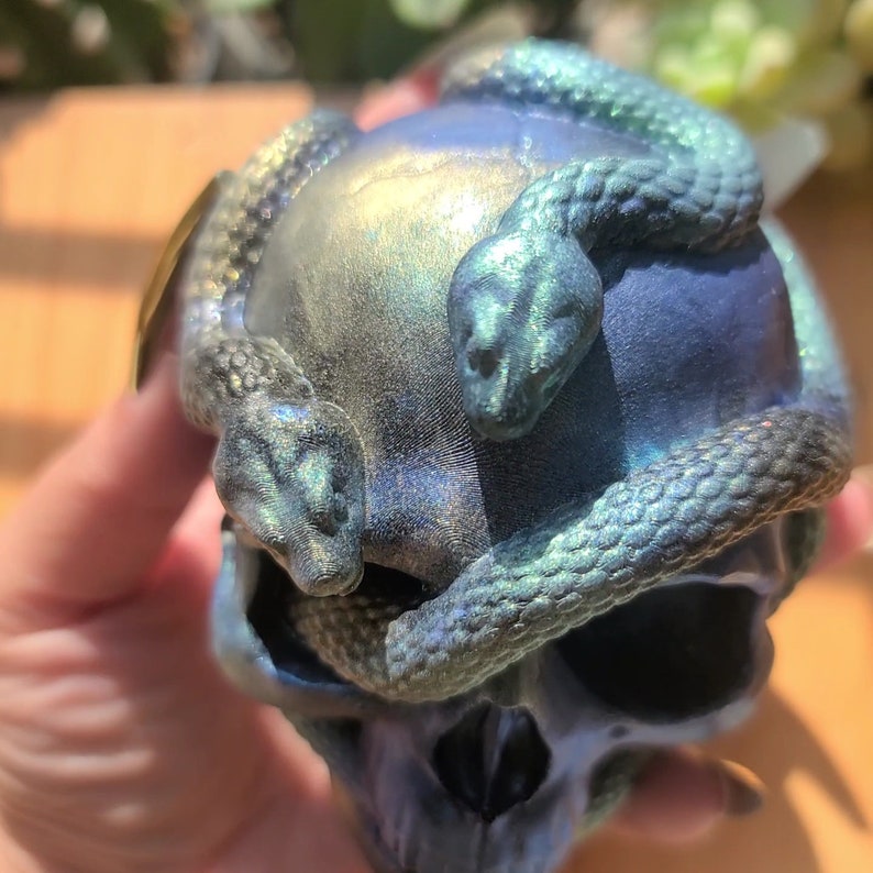 Snakes and Skulls Resin Skull Serpents Snakes Resin Art - Etsy