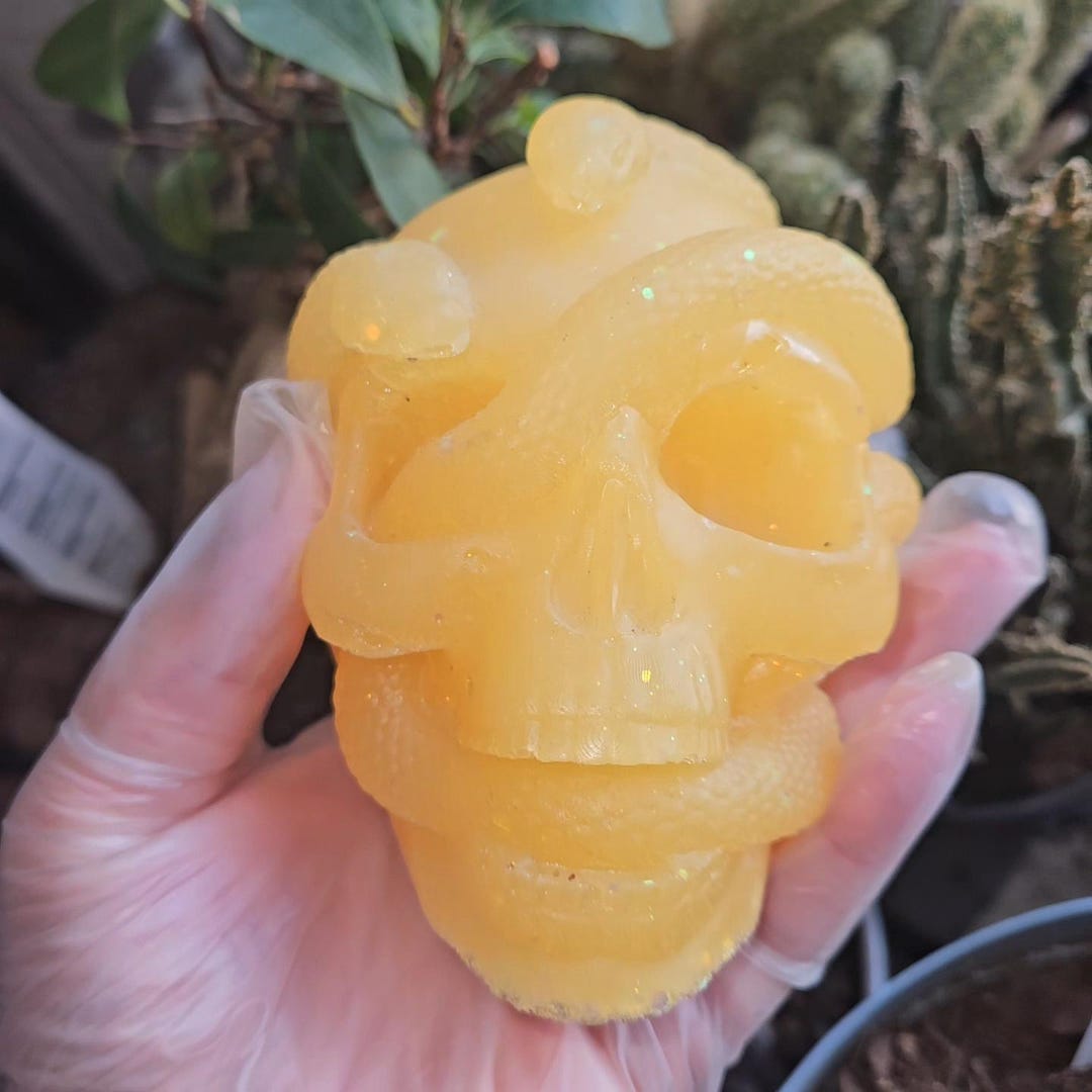 Resin Skull, Serpents, Snakes, Resin Art, Paperweight, Resin Statue ...