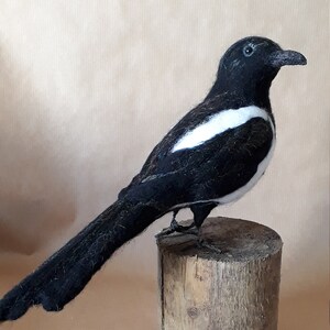 Life Size Needle Felt Magpie - Etsy