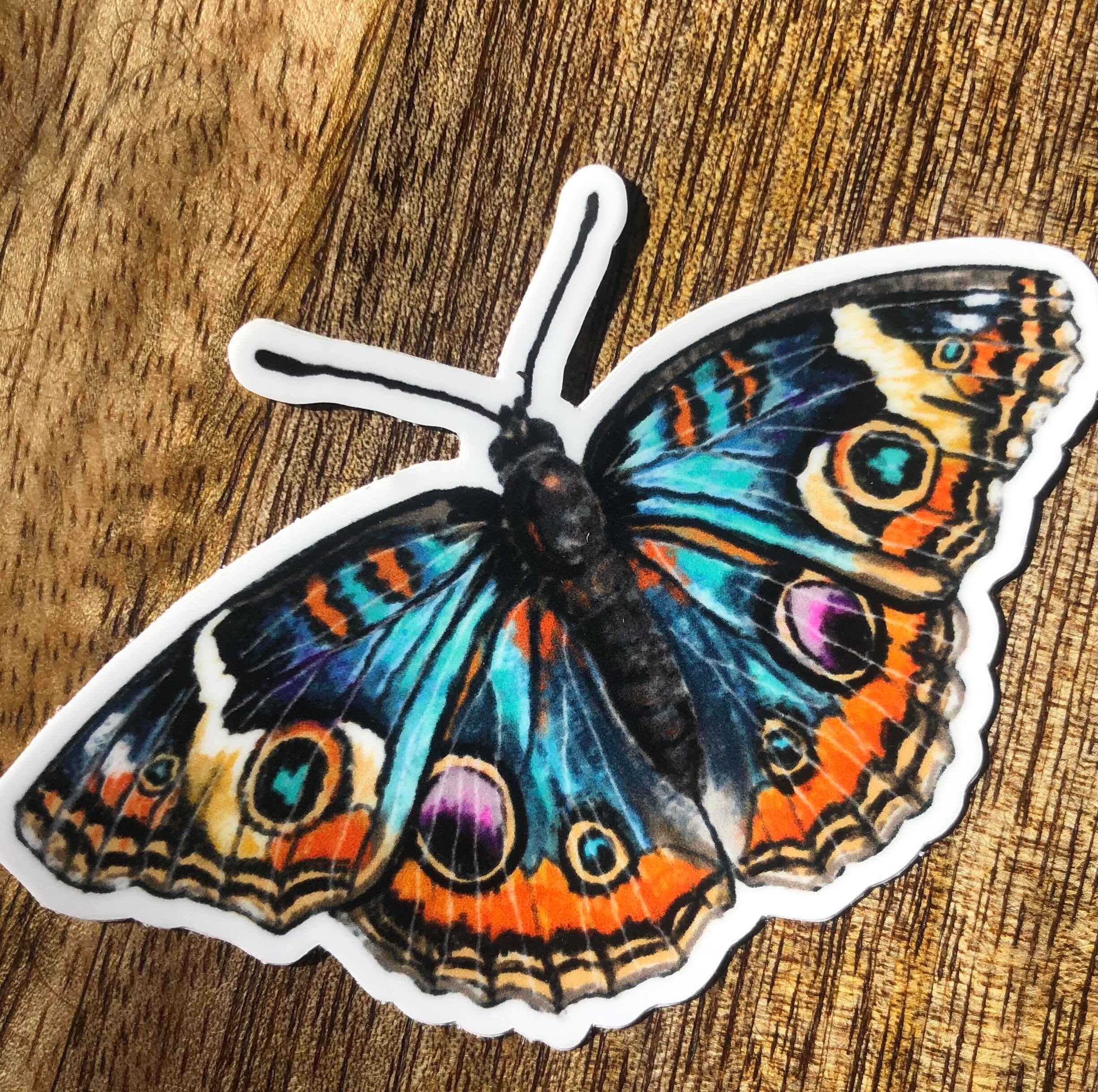Common Buckeye Butterfly Vinyl Sticker Weatherproof Decal - Etsy UK