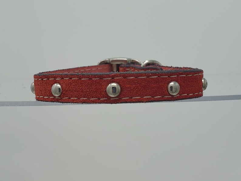 Leather Dog Collar With Studs XS Studded Toy Dog Collars - Etsy