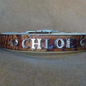 Bling Name Leather Collars Medium - Padded Custom Made Dog Collars ...