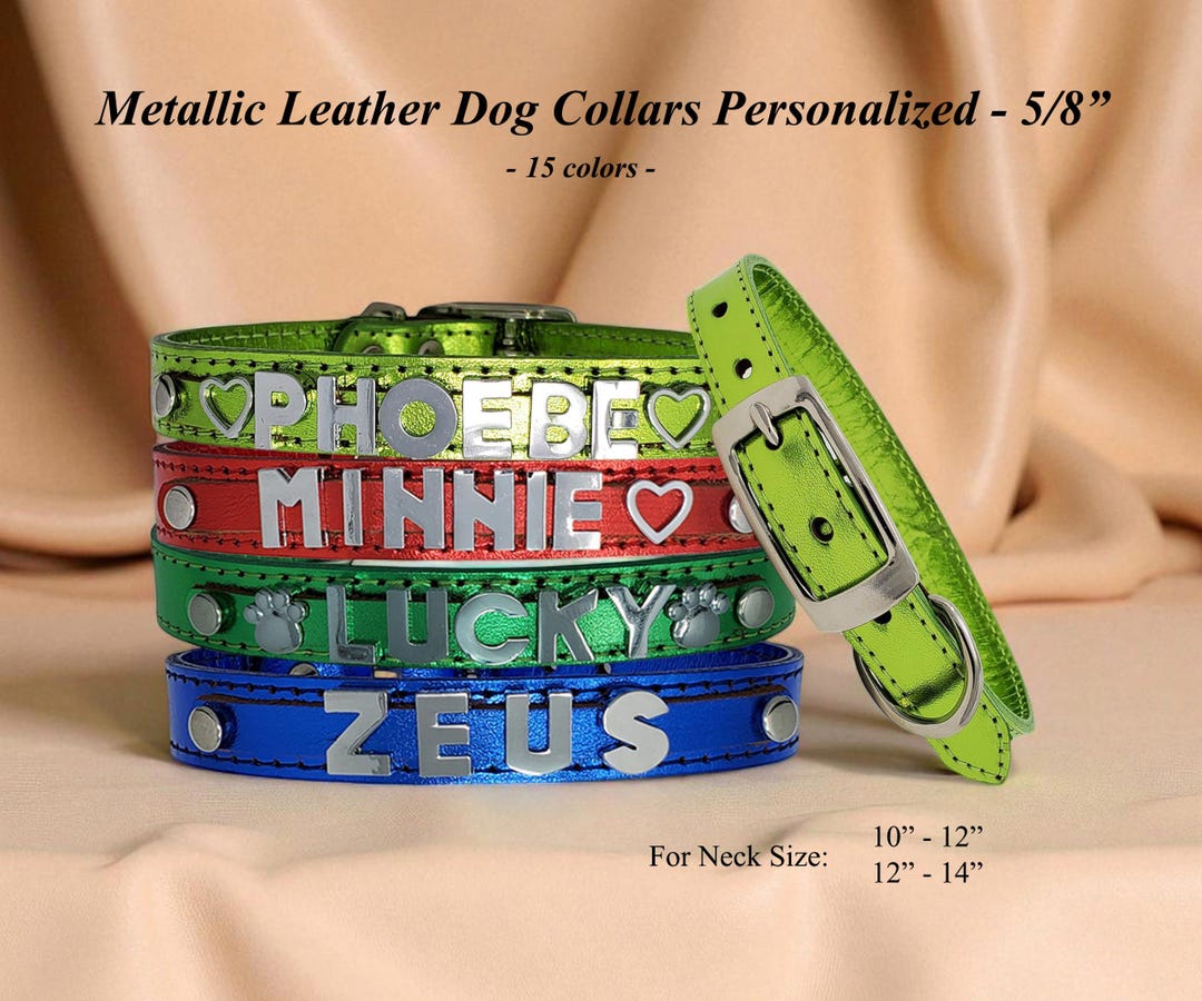 Custom Pet Collar With Chrome Letters – Soft Metallic Puppy Collar ...