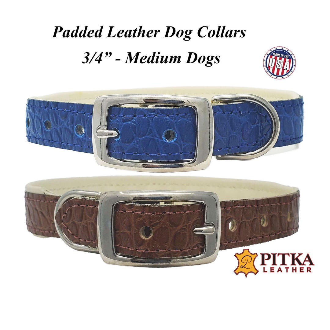 Padded Leather Dog Collar - Quality Collars for Medium Dogs - Designer ...