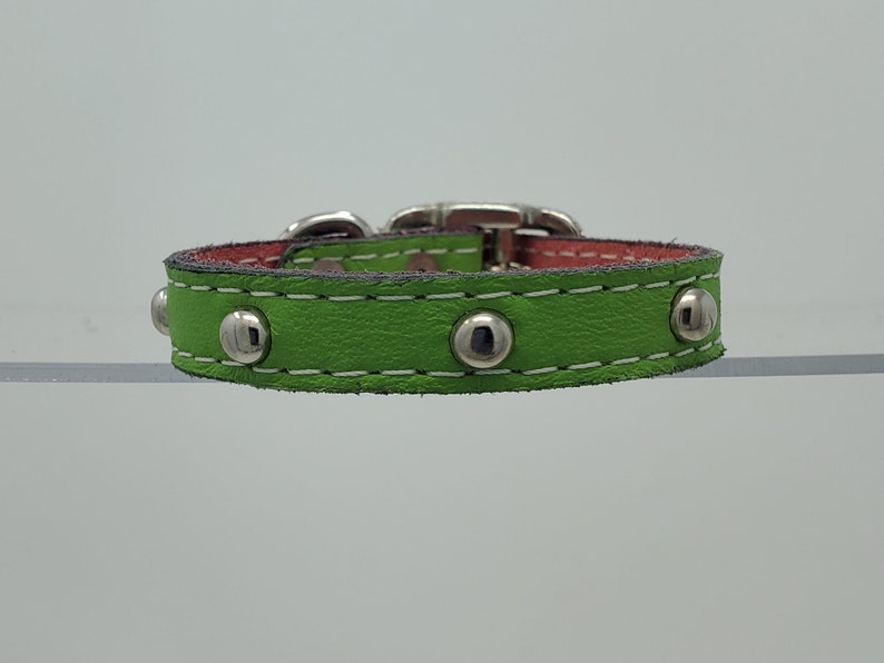Leather Dog Collar With Studs XS Studded Toy Dog Collars - Etsy