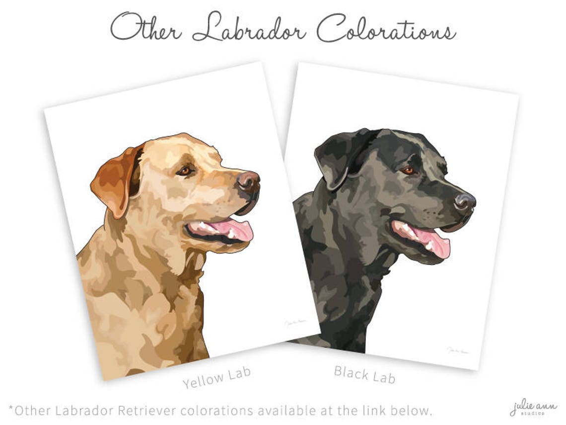 Black Lab Painting Labrador Retriever Print Black Lab Print - Etsy