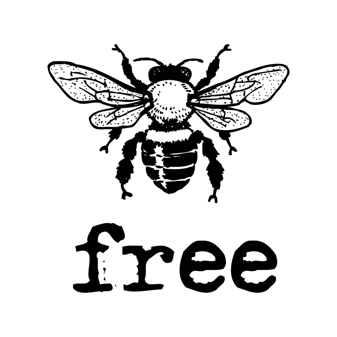 Bee Free SVG, INSTANT DOWNLOAD Digital Art Png and Svg - Etsy