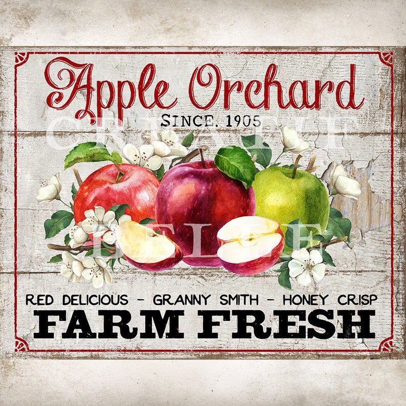 Apple Orchard Farm Fresh Apple Sign Country Farmhouse Decor - Etsy