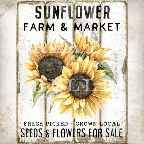 Farm Style Sunflower Sign Modern Farmhouse Sunflower Wall Art - Etsy