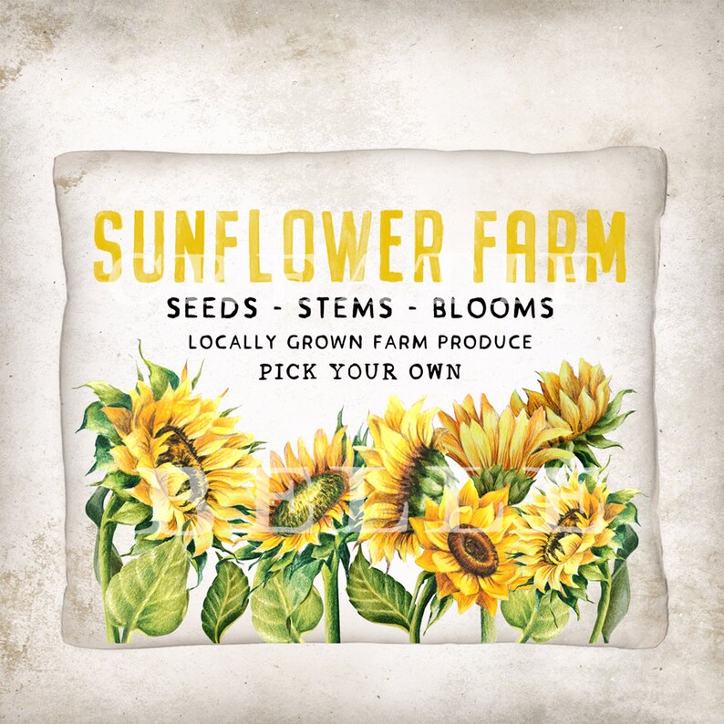8.5x11 Plus 4 Inch Square Farmhouse Sunflower Farm Sign Farm - Etsy