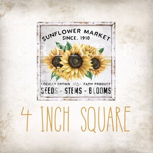 8.5x11 Plus 4 Inch Sq Farmhouse Sunflower Market Chippy Shiplap Country ...