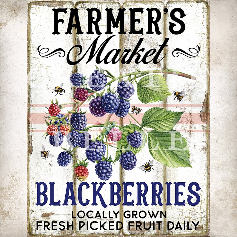 Farmers Market Blackberries, Farmhouse Fruit Wall Sign, DIY Sign Making ...