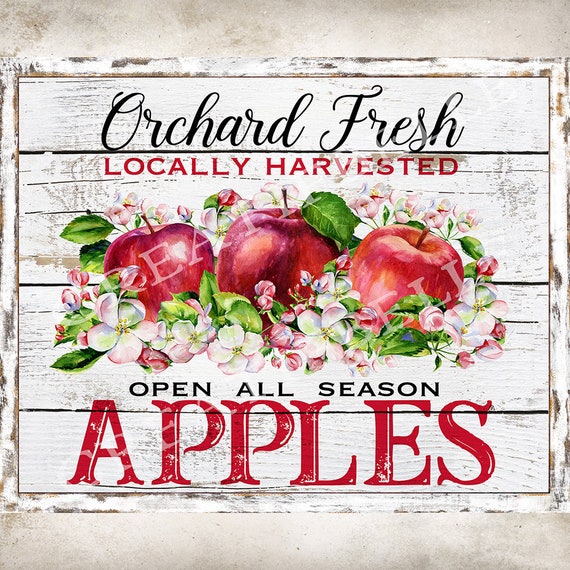 Orchard Fresh Apples Farm Style Apple DIY Sign Farmhouse - Etsy