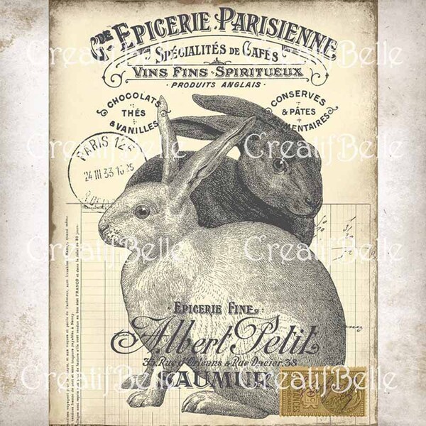 French Rabbit - Etsy