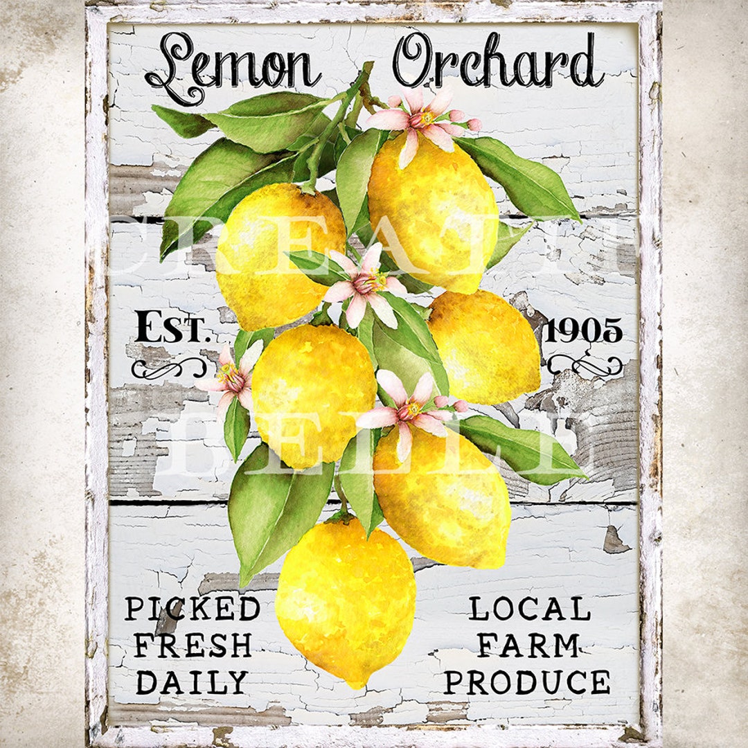 Lemon Orchard Sign, Country Farmhouse Lemon Decor, Rustic Farm Style ...