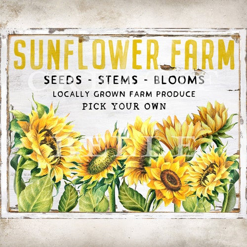 8.5x11 Plus 4 Inch Sq Rustic Chippy Wood Sunflower Farm Sign - Etsy