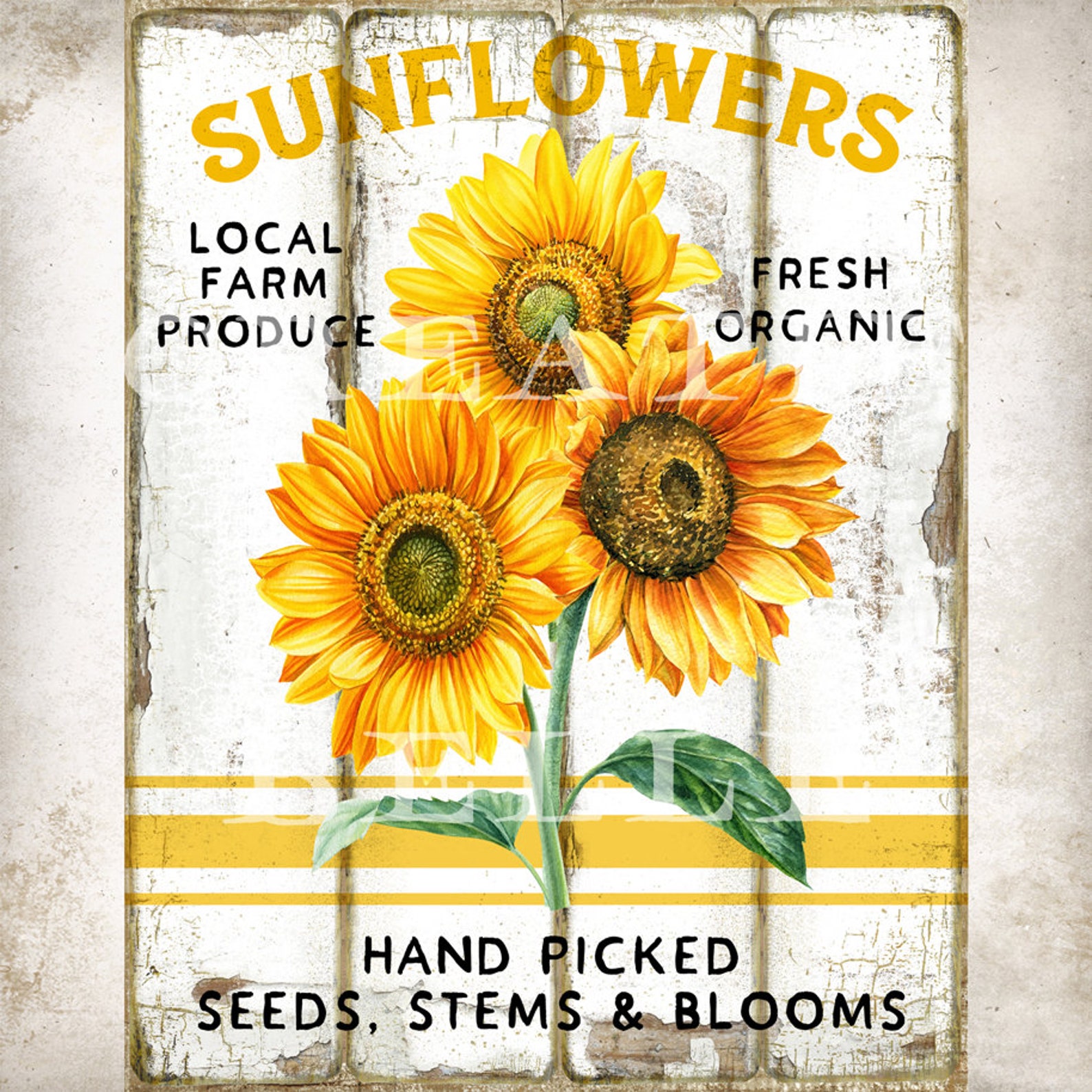 Farm Style Sunflower Sign Modern Farmhouse Sunflower Wall Art | Etsy