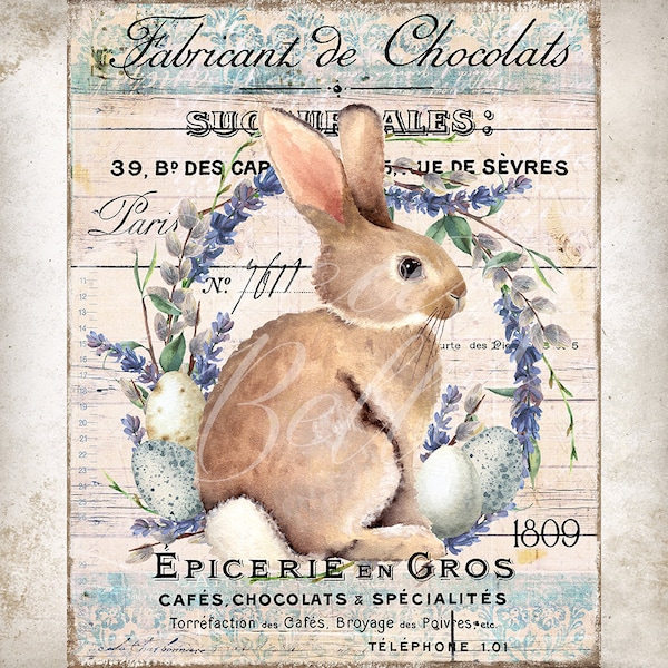 French Rabbit - Etsy