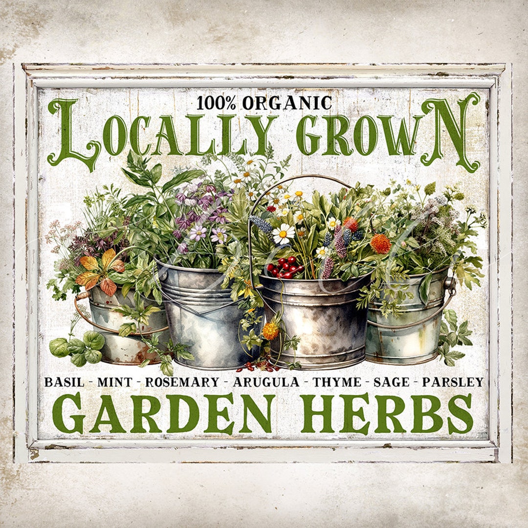 Vintage Rustic Old Style Herb Buckets Farmhouse Kitchen DIY Wall Art ...