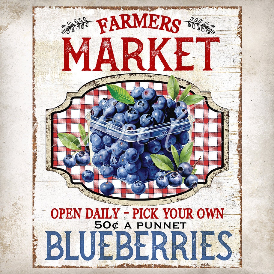 Vintage Farmers Market Blueberries Country Farmhouse Kitchen DIY Fruit ...