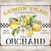 Lemon Tree Orchard Farm Sign Country Farm Style Lemons Farmhouse Lemon ...