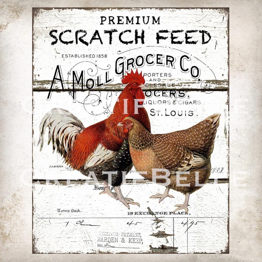 Vintage Rustic Farm Style Rooster Chicken DIY Sign Country Farmhouse ...