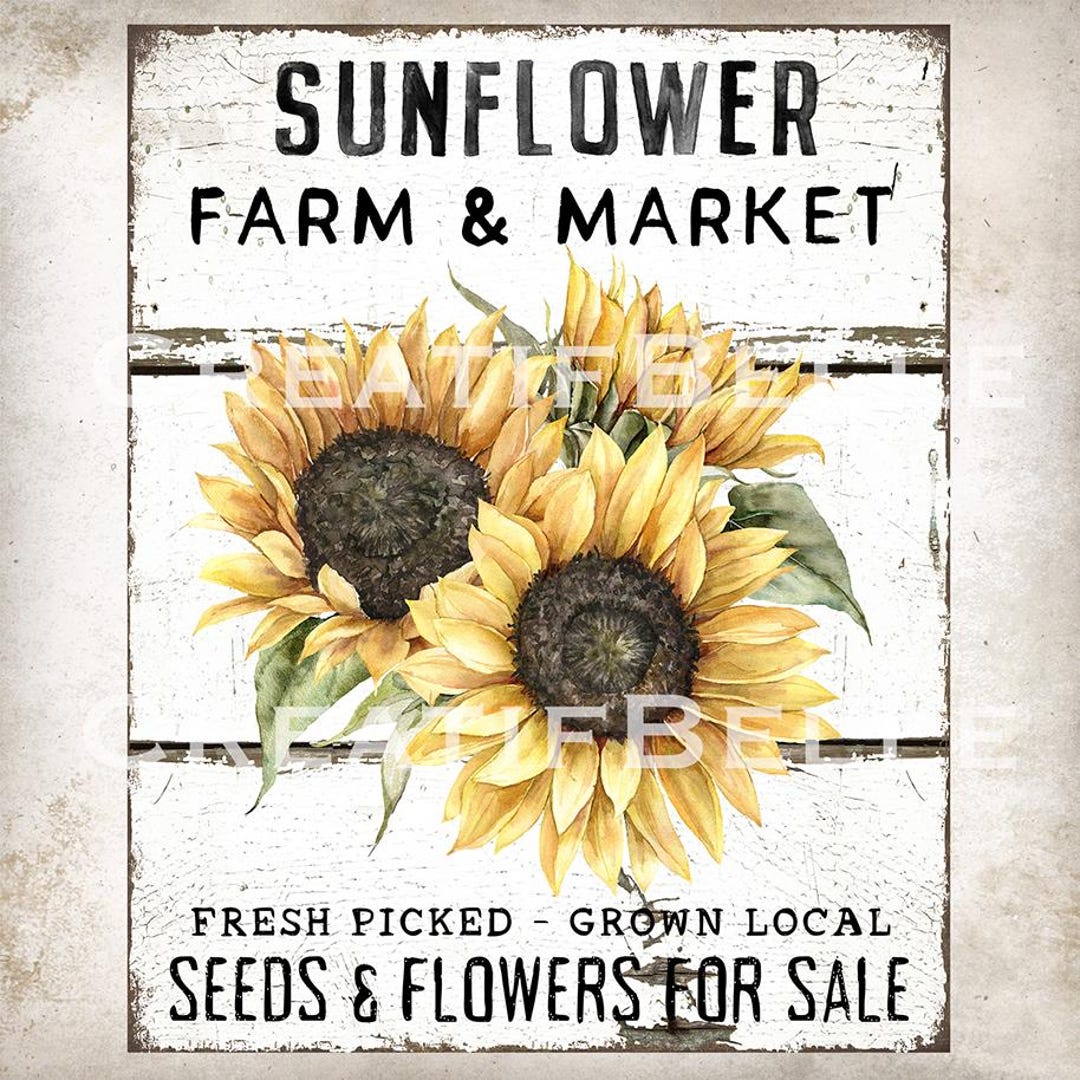 Sunflower Farm & Market Rustic Shiplap Wood Sign Farmhouse Sunflower ...