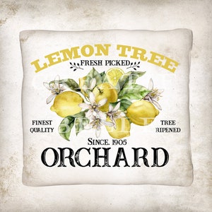 Lemon Tree Orchard Farm Sign Country Farm Style Lemons Farmhouse Lemon ...