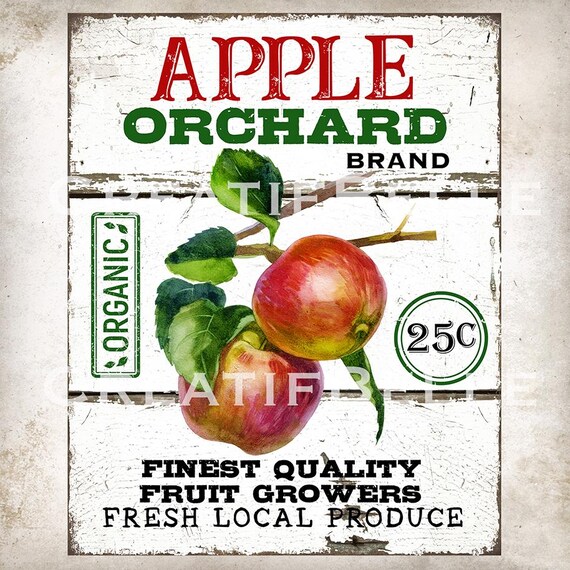 Orchard Apples Country Vintage Boom In Small Orchards Revives