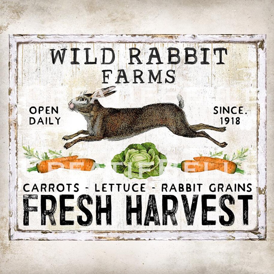Wild Rabbit Farms Fresh Harvest Carrots Lettuce Easter DIY Sign Farm ...