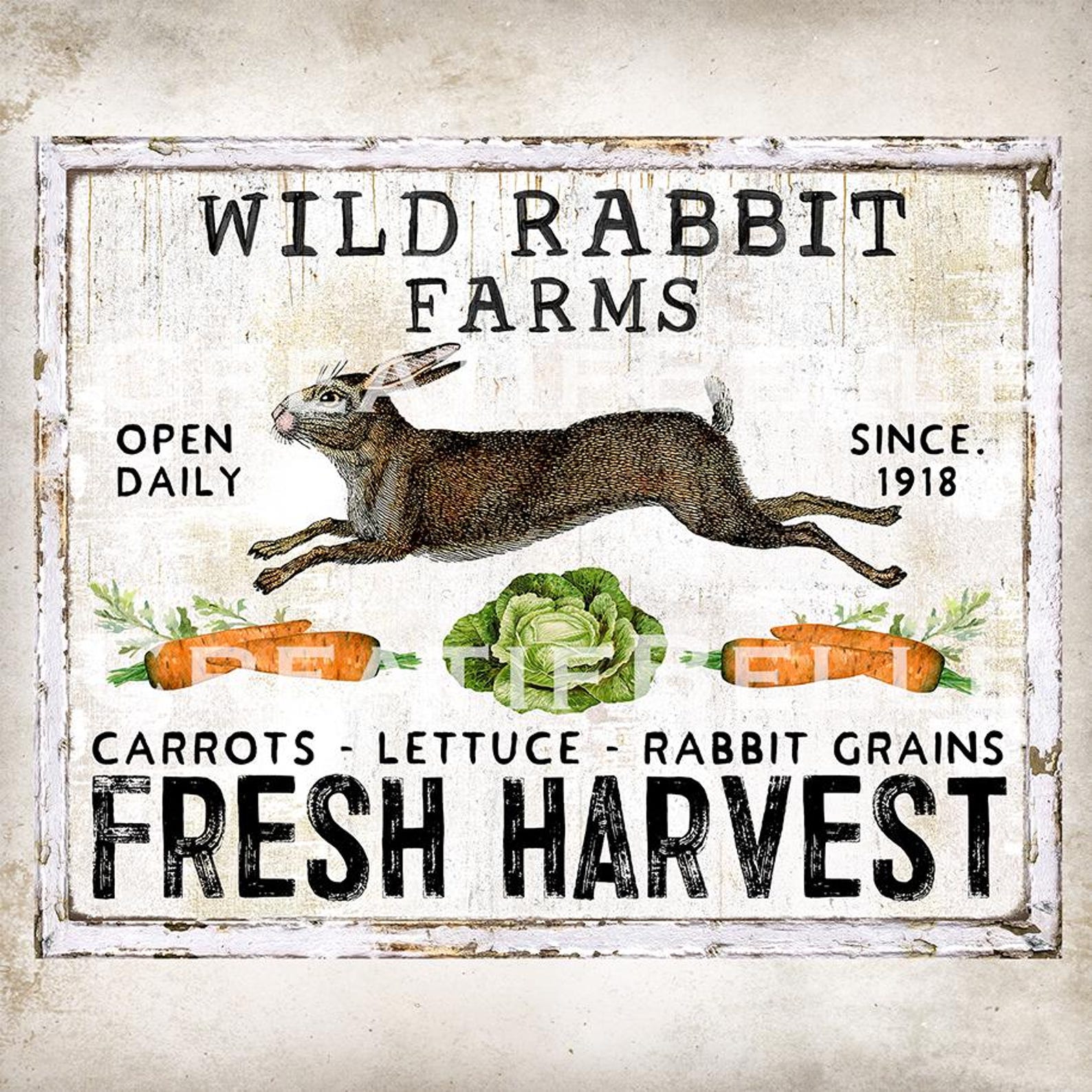 Wild Rabbit Farms Fresh Harvest Carrots Lettuce Easter DIY Sign Farm ...
