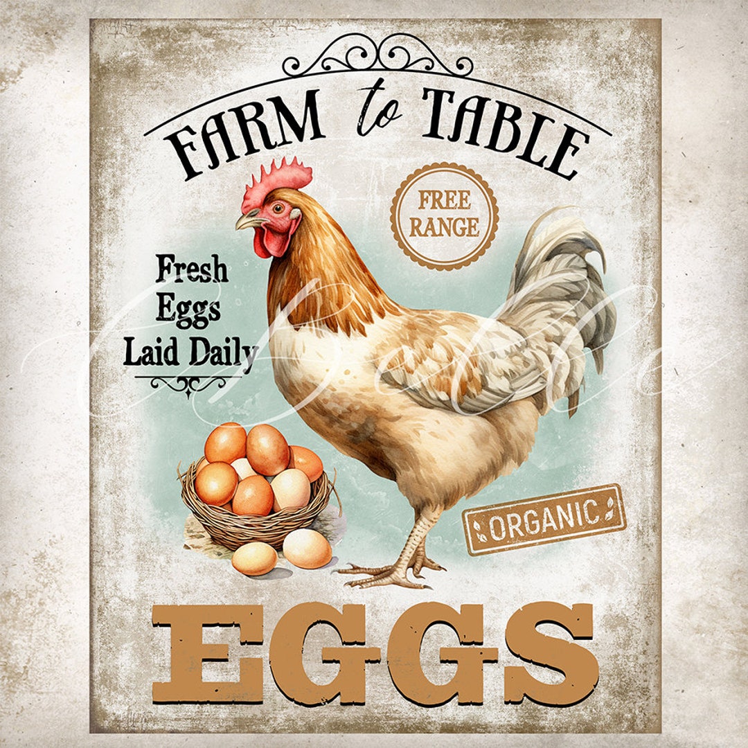 Vintage Farm to Table Chicken Eggs Rustic Country Farmhouse Kitchen DIY ...