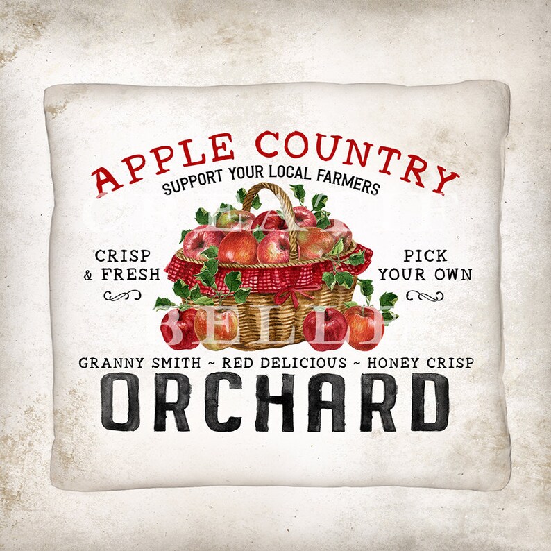 Modern Farmhouse Apple Orchard Sign Country Style Apple | Etsy