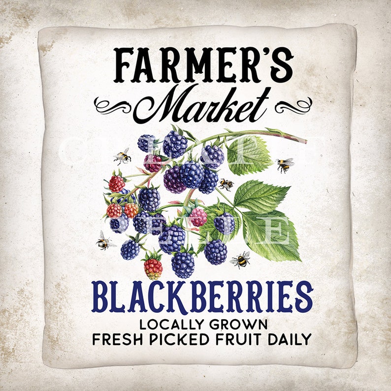 Farmers Market Blackberries, Farmhouse Fruit Wall Sign, DIY Sign Making ...