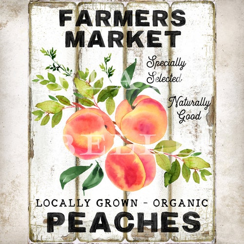 Modern Farmhouse Blueberries Farmers Market Farm Style Fruit - Etsy