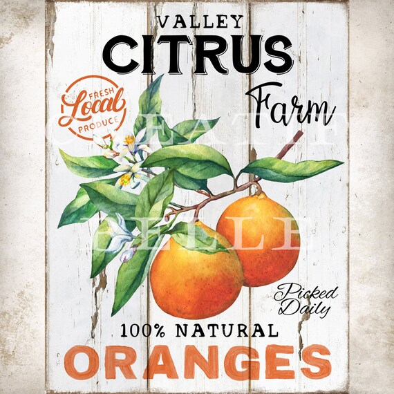 Retro Farmers Market Oranges Citrus Farm Style Sign Making - Etsy
