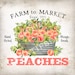 Farm to Market Peaches Rustic Country Farmhouse DIY Sign Farm Style ...